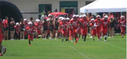 North Fort Myers Jr Football Association > Home